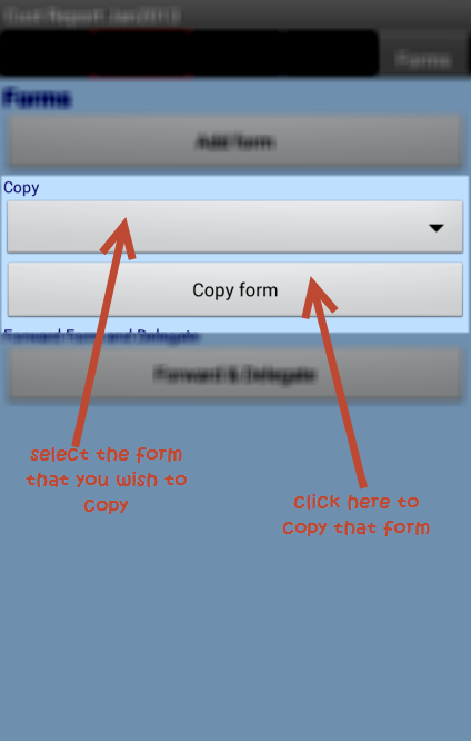 Item Type -Copy form